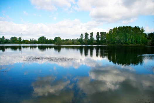 Verbandsgemeinde Lingenfeld | Südpfalz-Tourismus